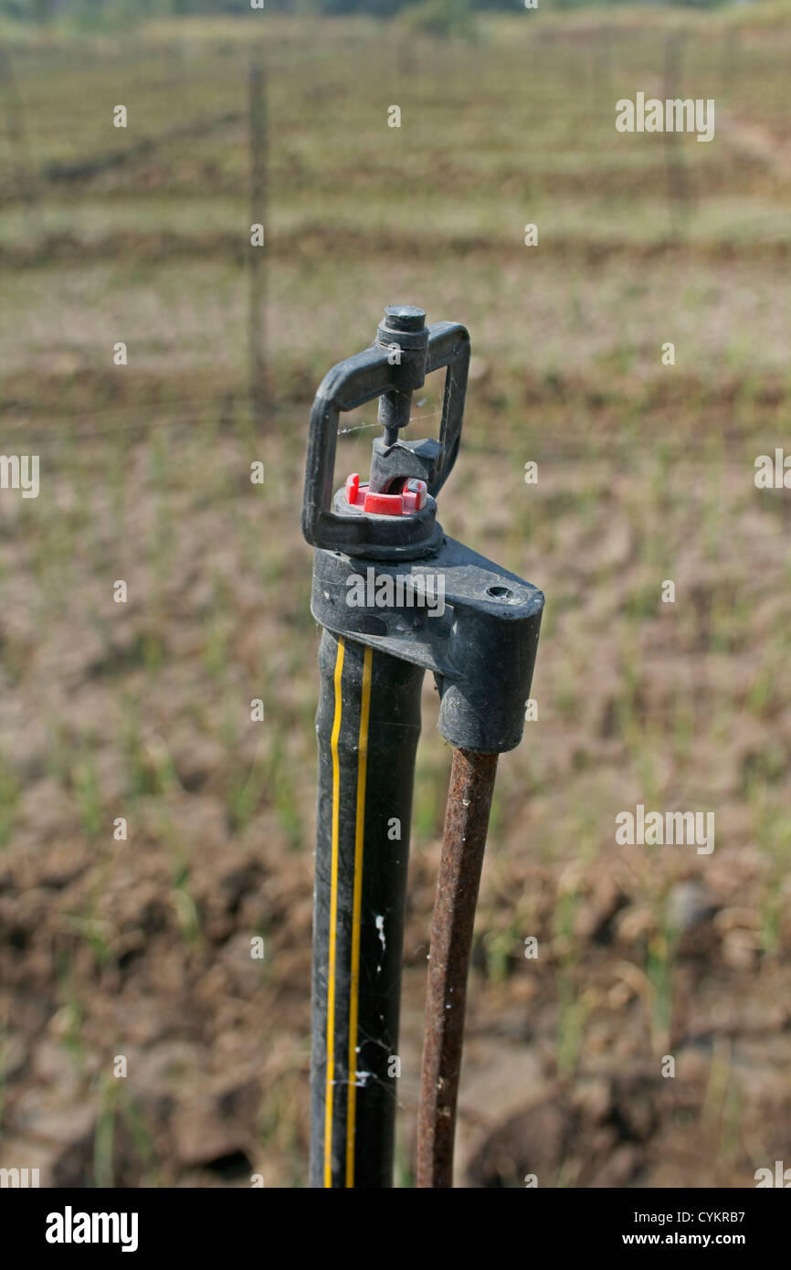 Microjet Sprinkler For Water Irrigation, India Stock Photo - Alamy
