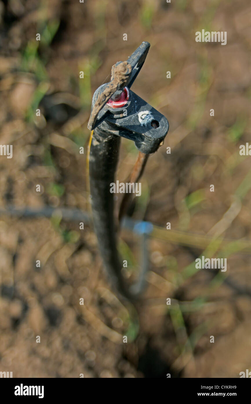 Microjet Sprinkler For Water Irrigation, India Stock Photo - Alamy