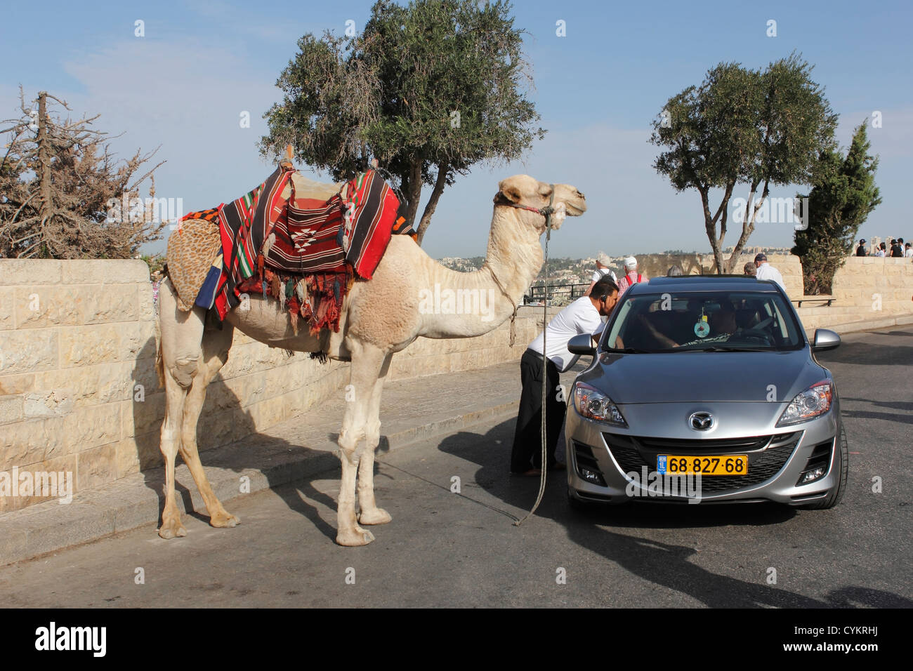 Camel tracker hi-res stock photography and images - Alamy