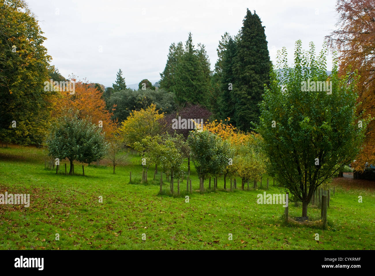 The community orchard in Grange-over-Sands, Cumbria Stock Photo - Alamy