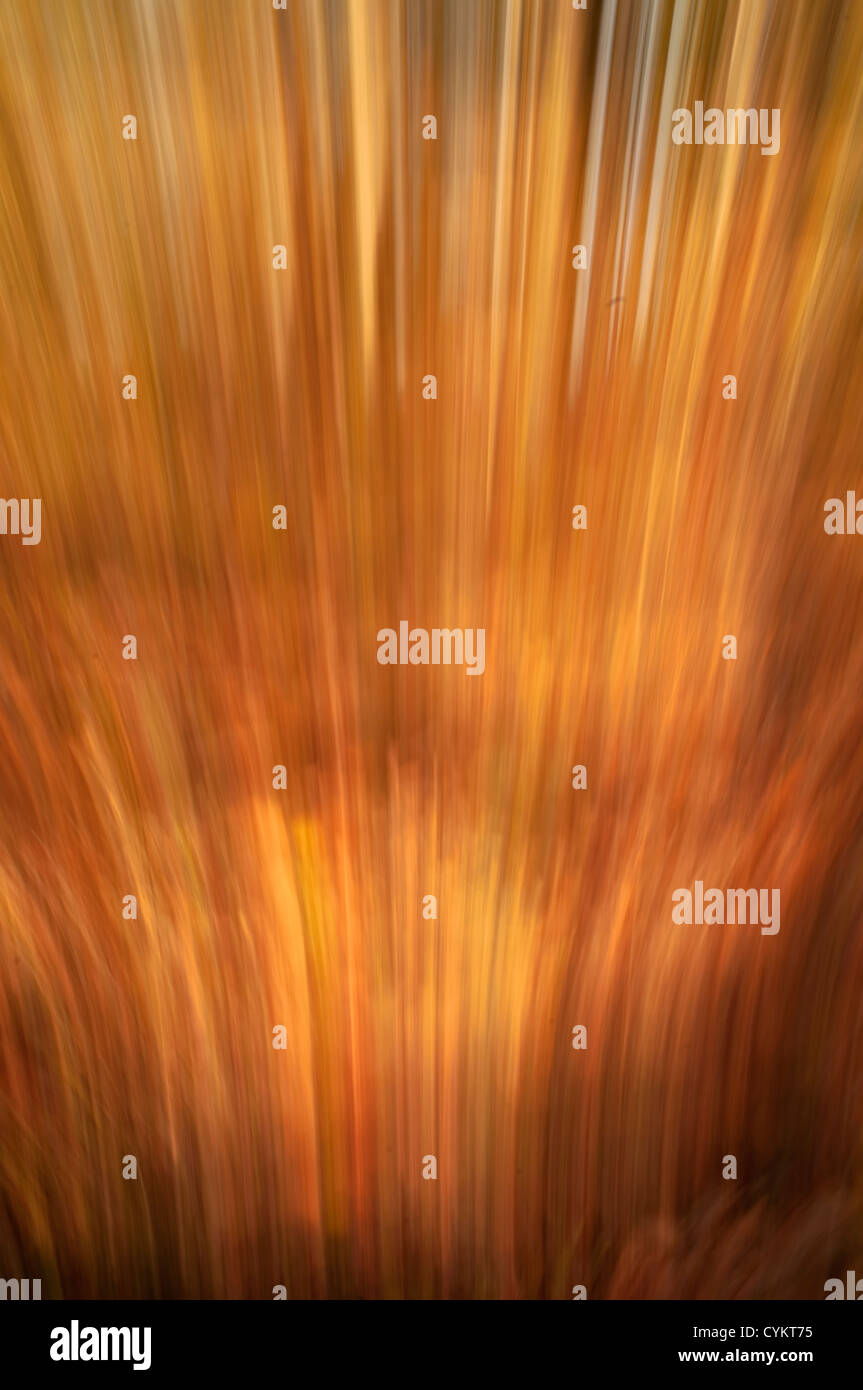 Blurry colors hi-res stock photography and images - Alamy