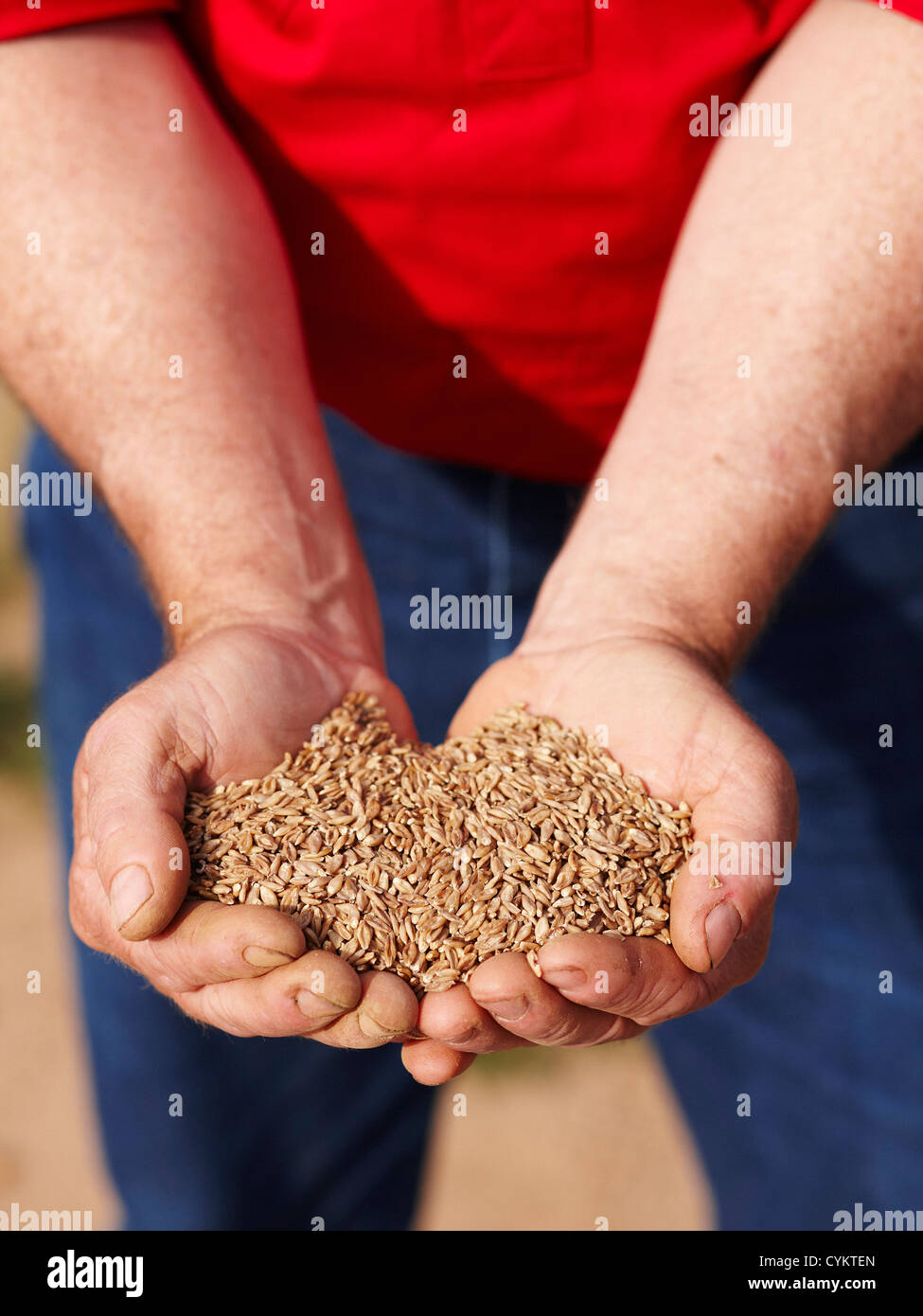 Hand cupping seeds hi-res stock photography and images - Alamy