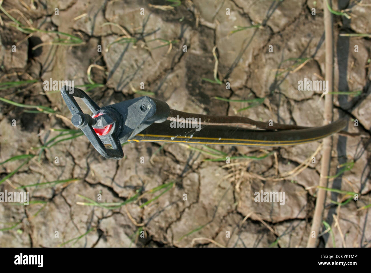 Microjet Sprinkler For Water Irrigation, India Stock Photo - Alamy