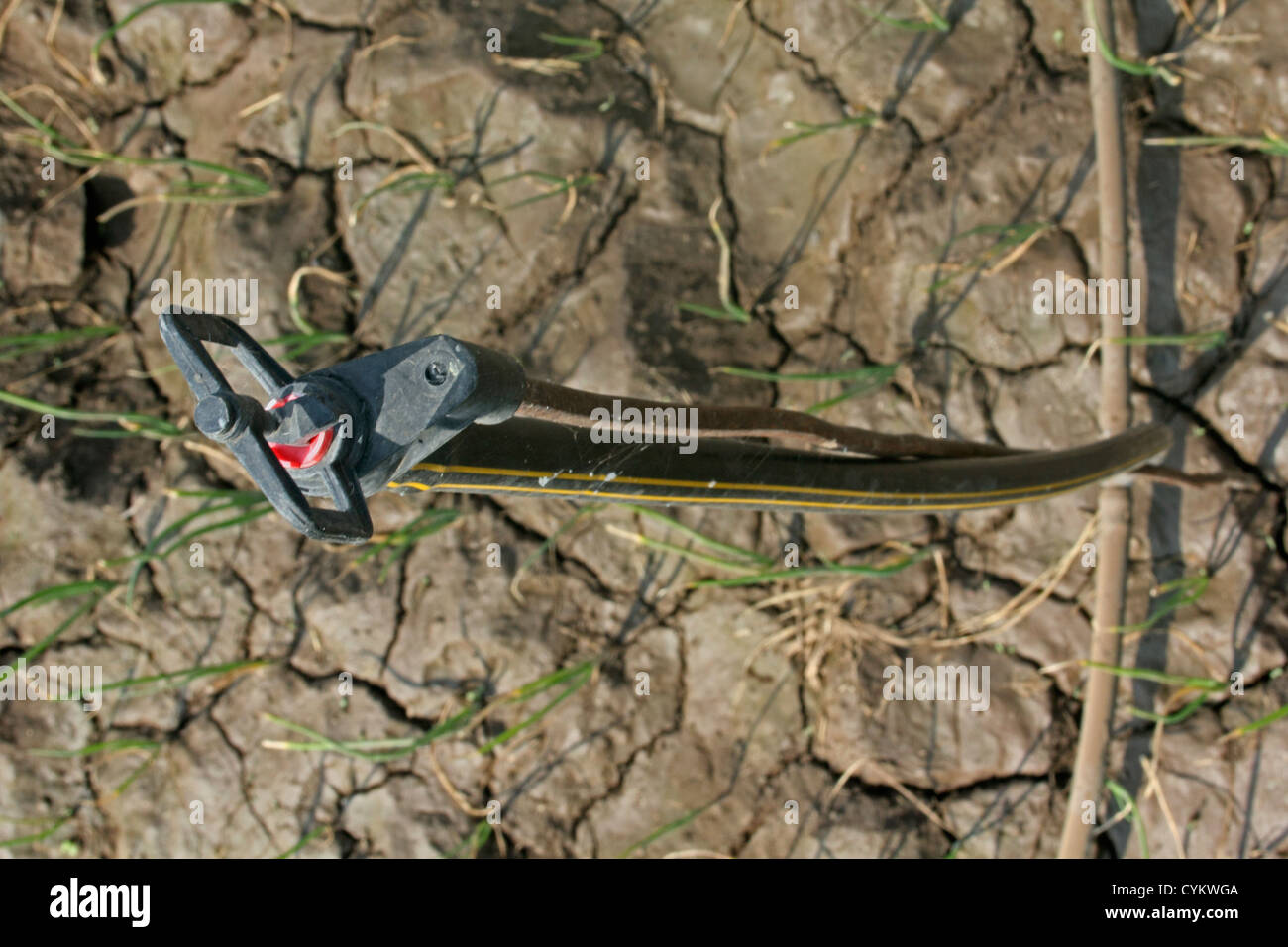Microjet Sprinkler For Water Irrigation, India Stock Photo - Alamy