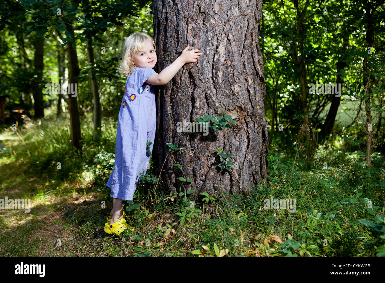 Girl hugging tree in forest Stock Photo - Alamy