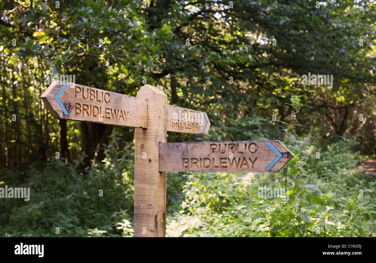 Signpost woods forest tree woodland hi-res stock photography and images ...