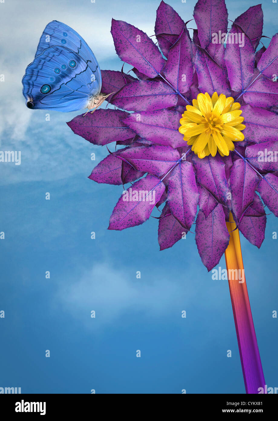 Butterfly negative space hi-res stock photography and images - Alamy