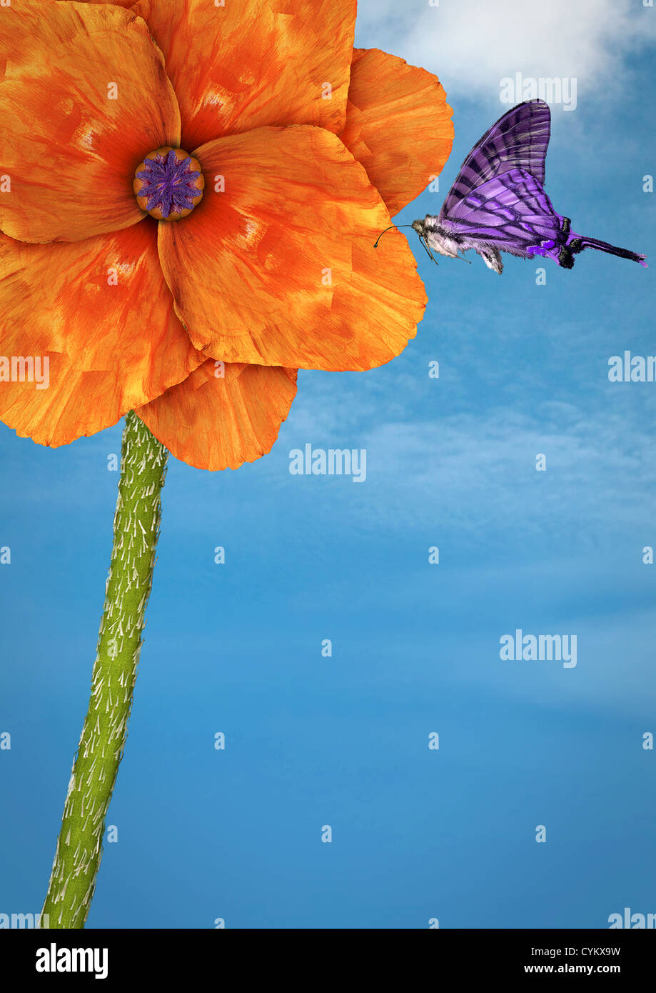 Butterfly negative space hi-res stock photography and images - Alamy