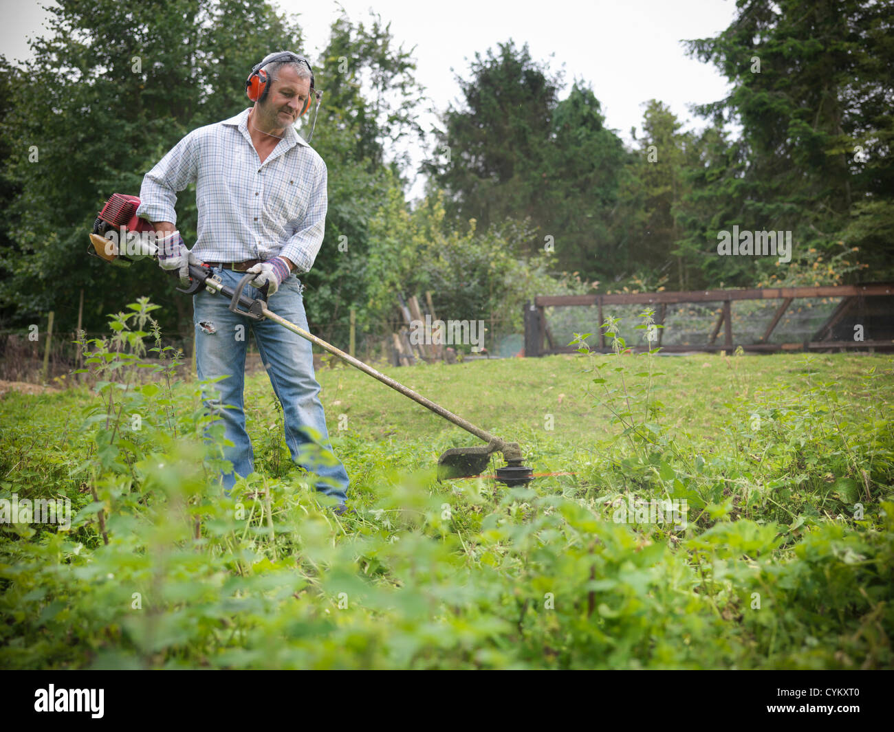 Weeds In Lawn High Resolution Stock Photography and Images - Alamy