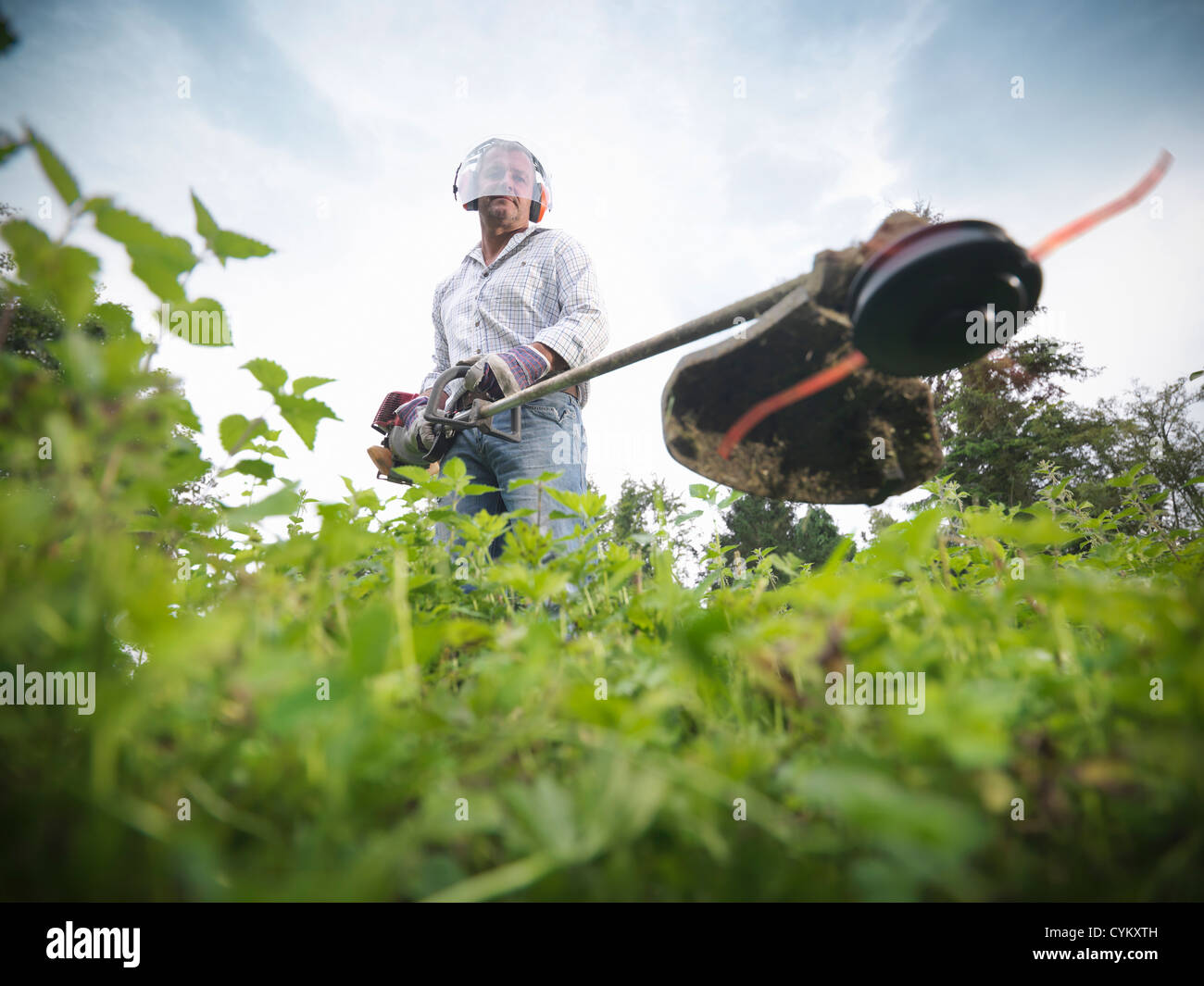 Weed in garden hi-res stock photography and images - Alamy