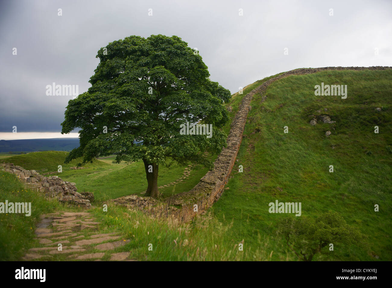 Stone walls in rural field Stock Photo - Alamy