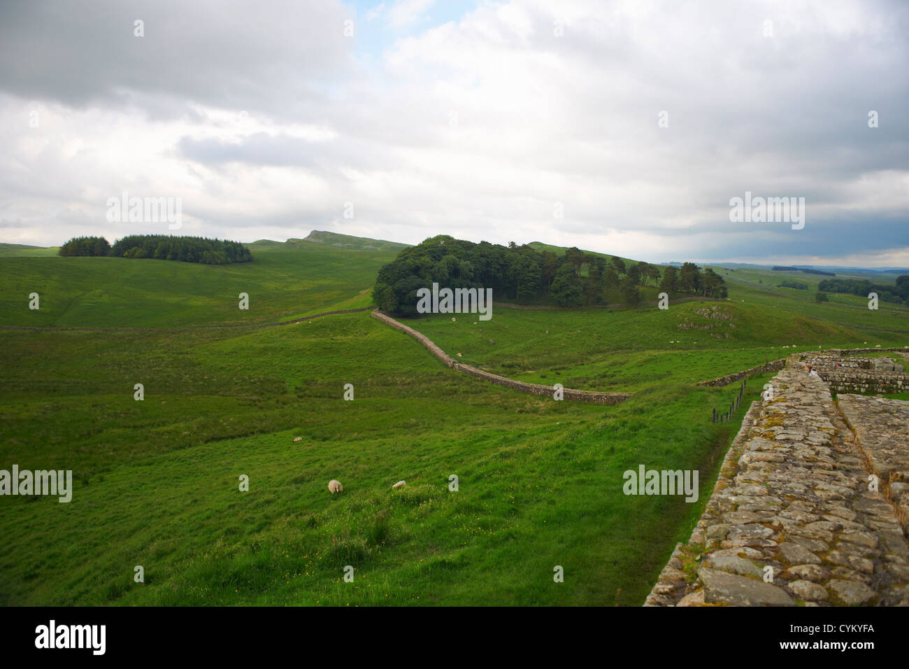 Stone walls in rural field Stock Photo - Alamy