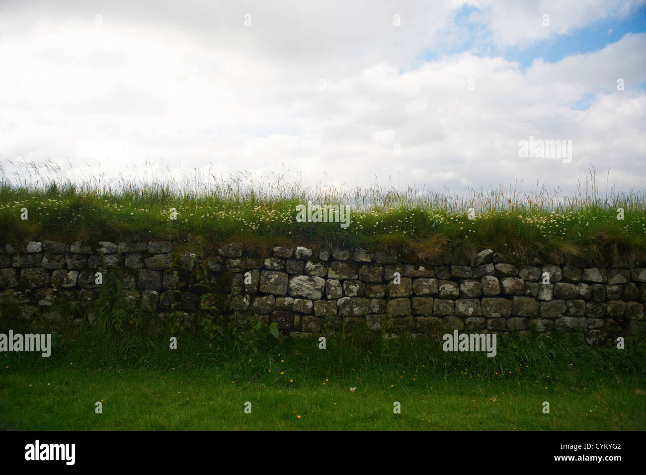 Stone wall and countryside hi-res stock photography and images - Alamy