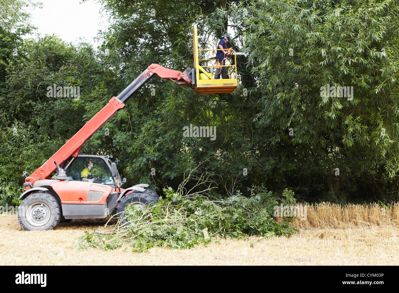 Farmer working on cherry picker Stock Photo - Alamy