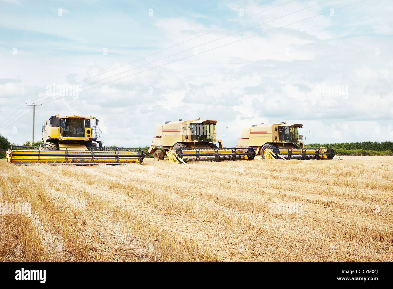 Three combine harvest wheat hi-res stock photography and images - Alamy