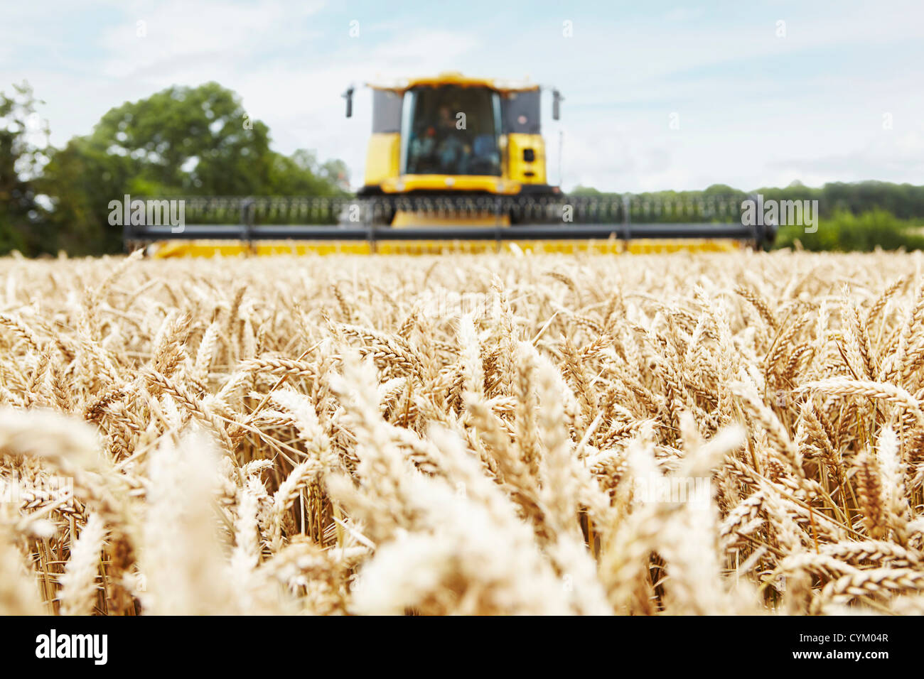 Driver harvester hi-res stock photography and images - Alamy