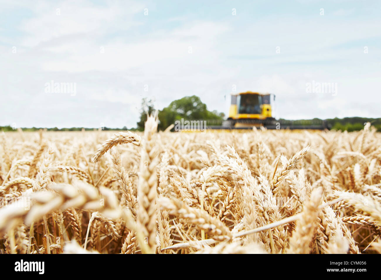 Harvester working in crop field Stock Photo - Alamy