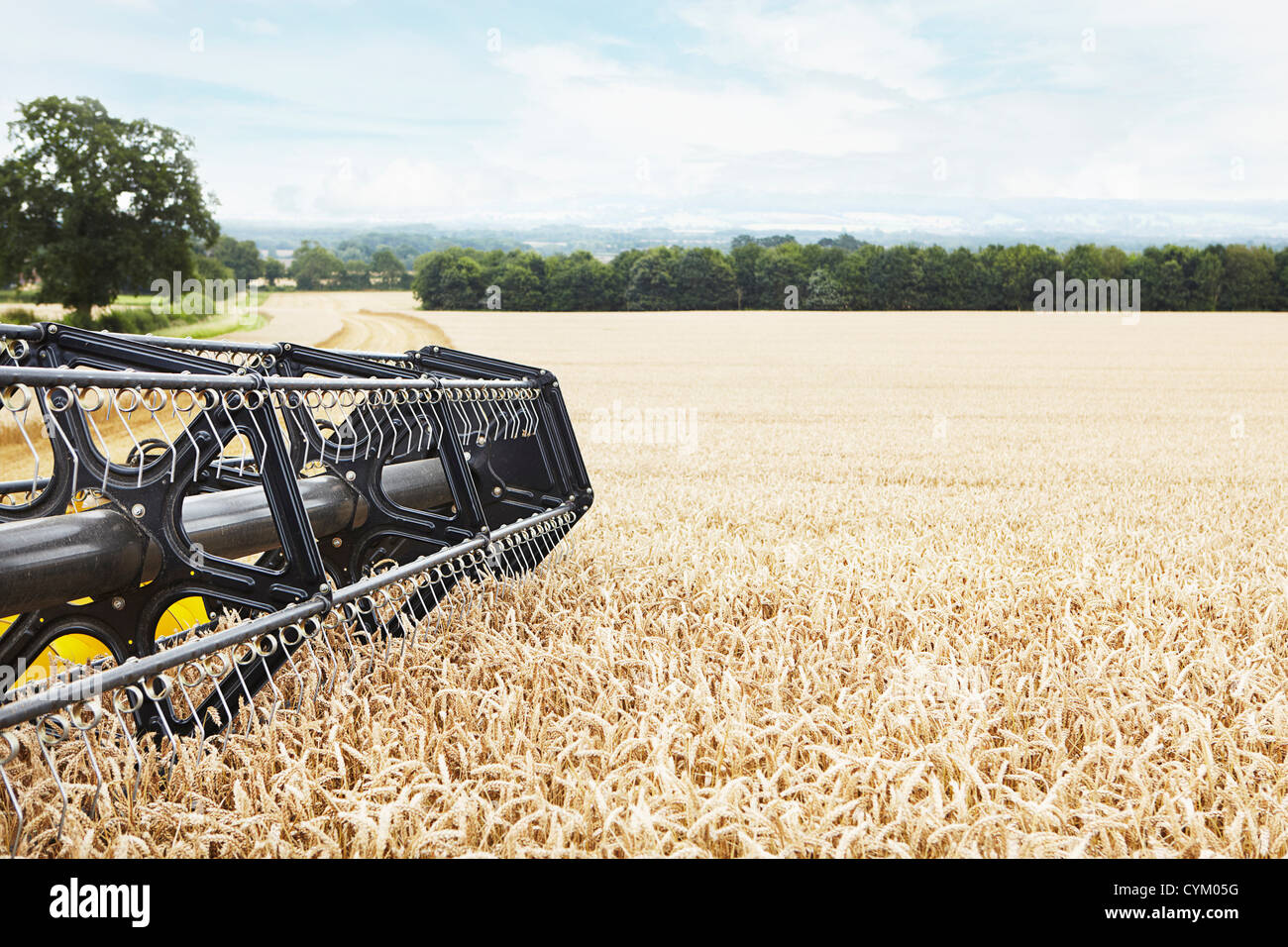 White field combine harvester hi-res stock photography and images - Alamy