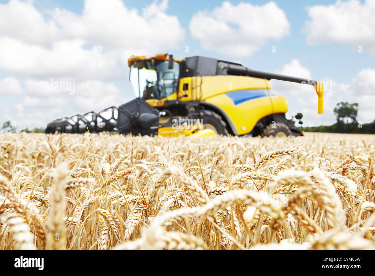 Harvester working in crop field Stock Photo - Alamy