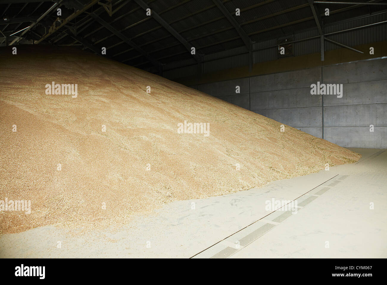 Pile of grain stored in warehouse Stock Photo - Alamy
