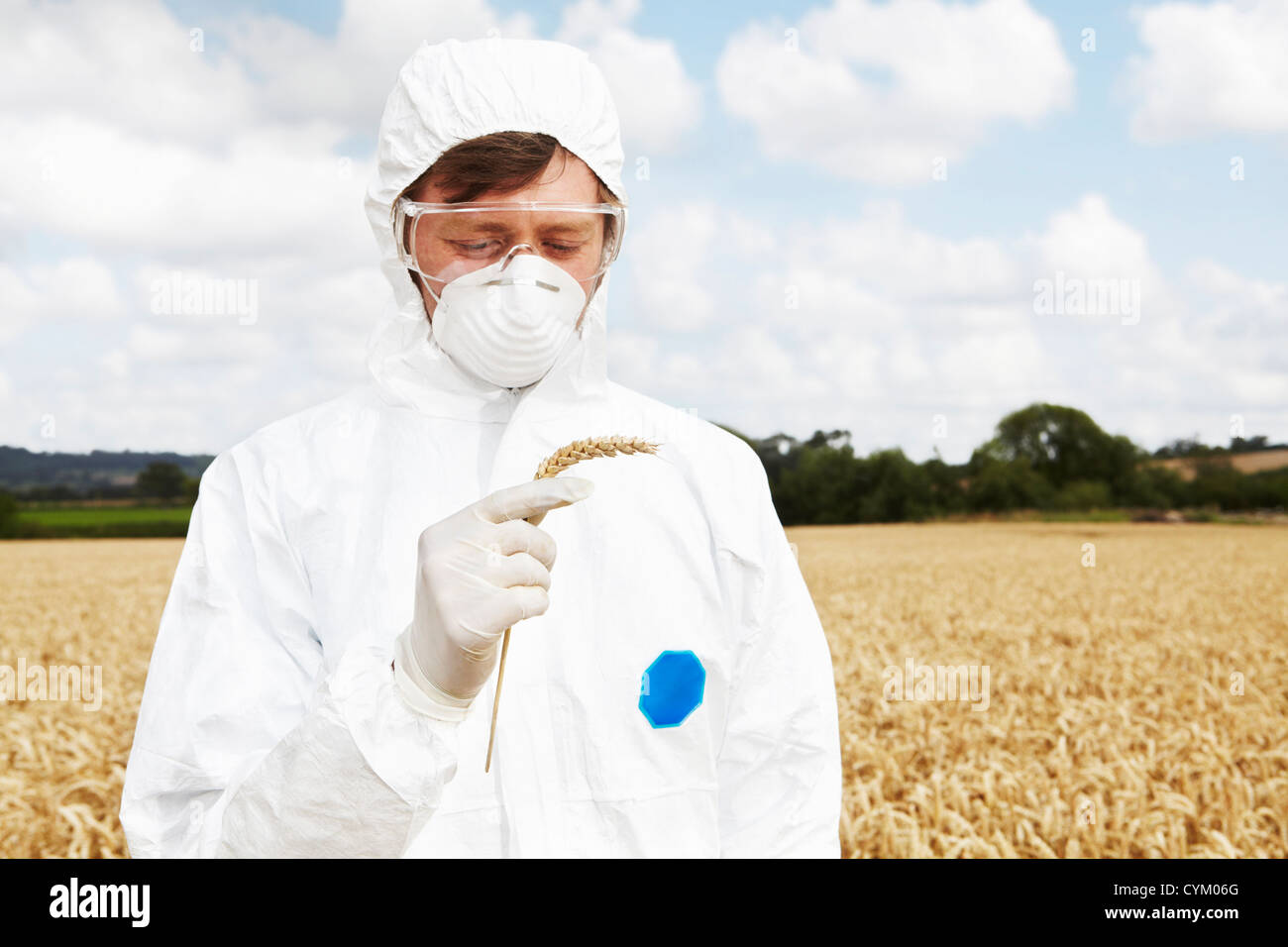 Scientist inspecting wheat hi-res stock photography and images - Alamy