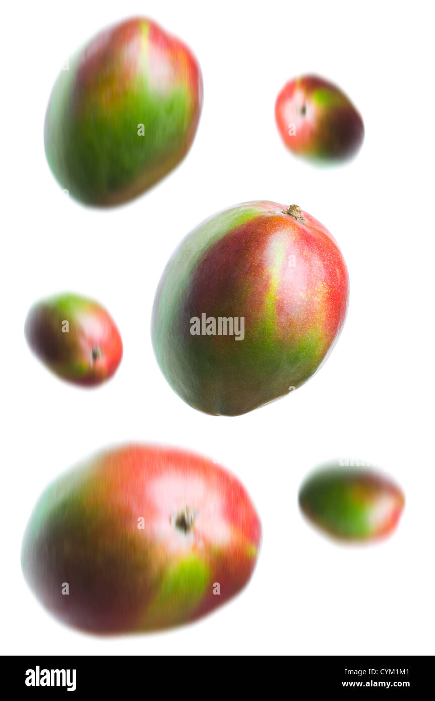 Falling mango Cut Out Stock Images & Pictures - Alamy