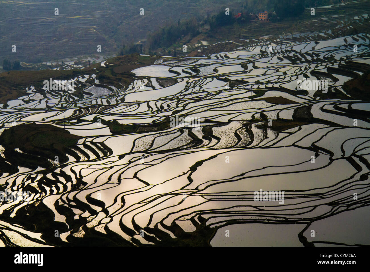Yuanyang, Yunnnan, China Stock Photo - Alamy