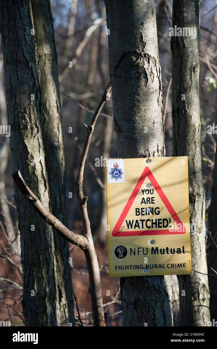 Sign nailed to tree hi-res stock photography and images - Alamy