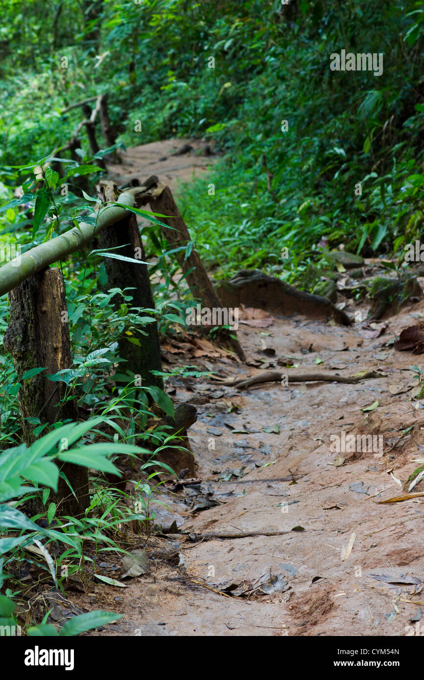 Steep Path Leads Down from the High Waterfall Stock Photo - Alamy