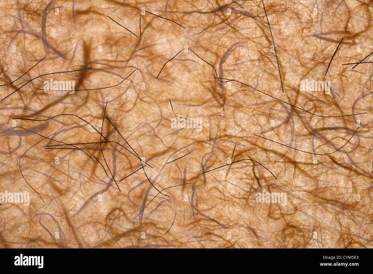 handmade mulberry art paper texture background, perfect for layers ...
