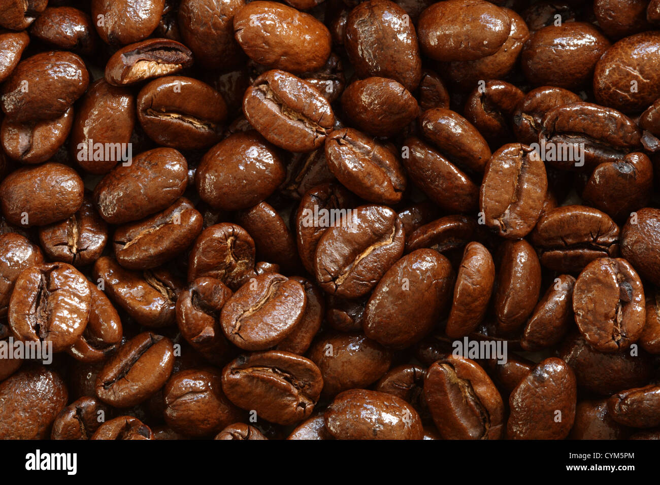 Shiny coffee beans hi-res stock photography and images - Alamy