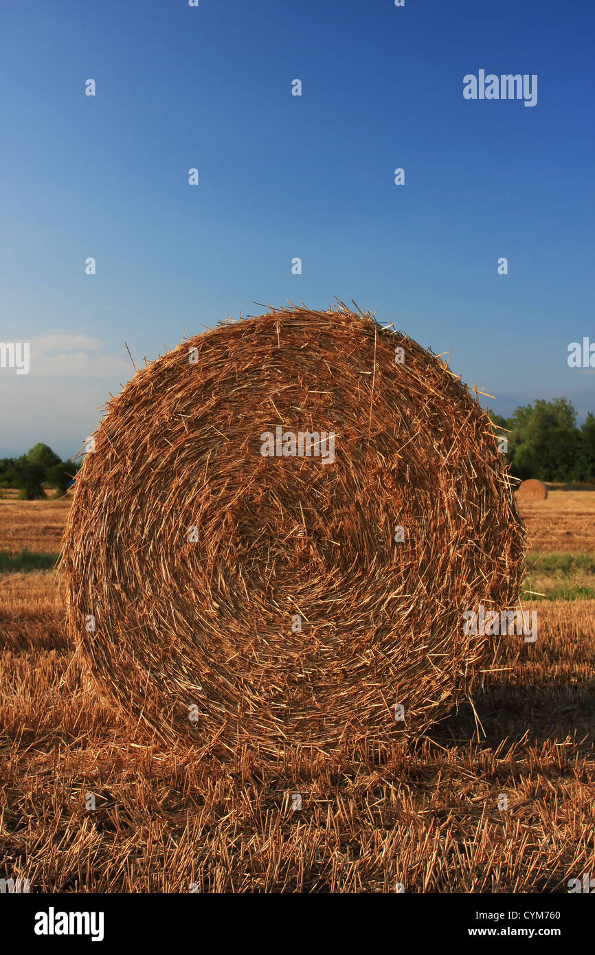 A close up of a hay bale on a corn field in Europe, shot in the warm ...