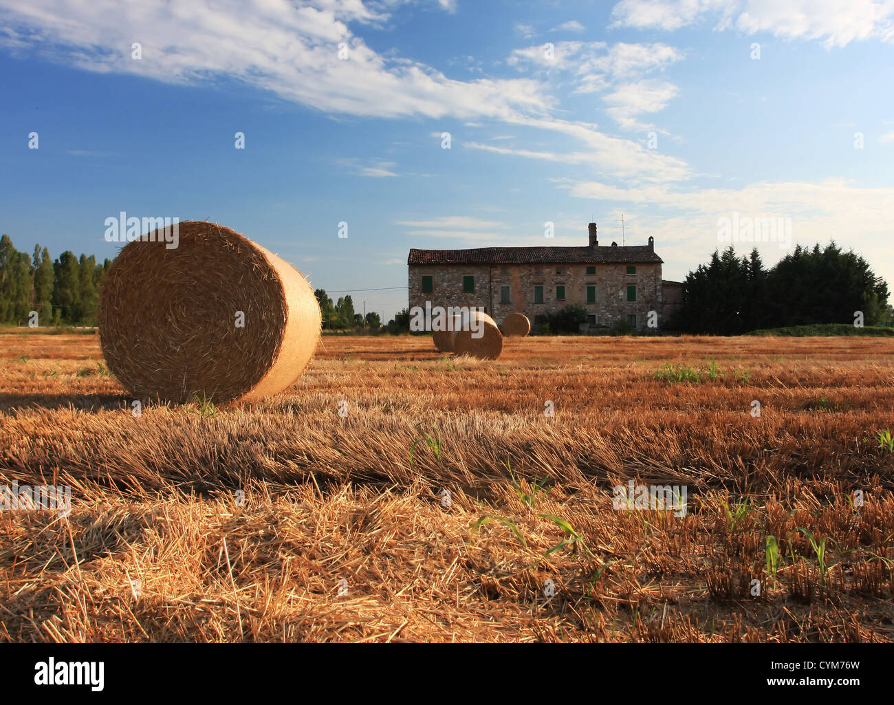 corn and farmhouse Stock Photo - Alamy