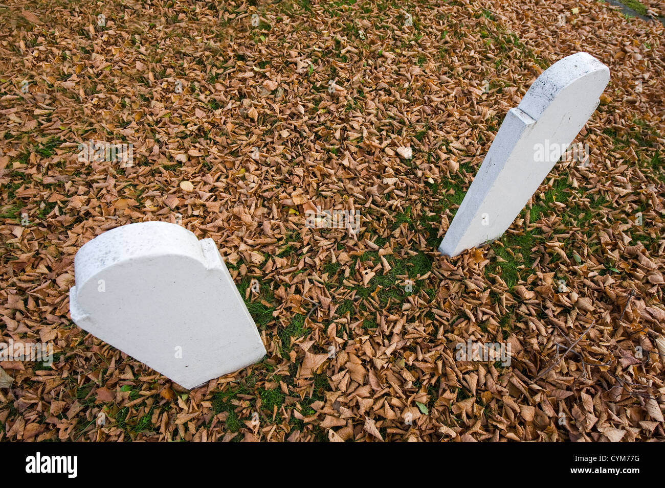 Two white gravestones on a graveyard in the autumn Stock Photo - Alamy