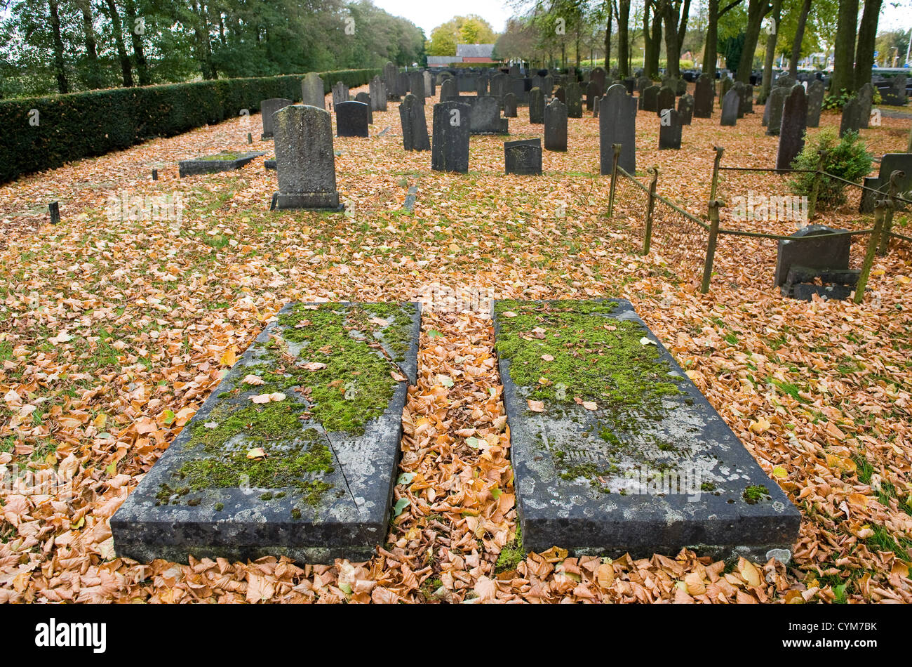 Two old lying gravestones on a graveyard in the autumn Stock Photo - Alamy