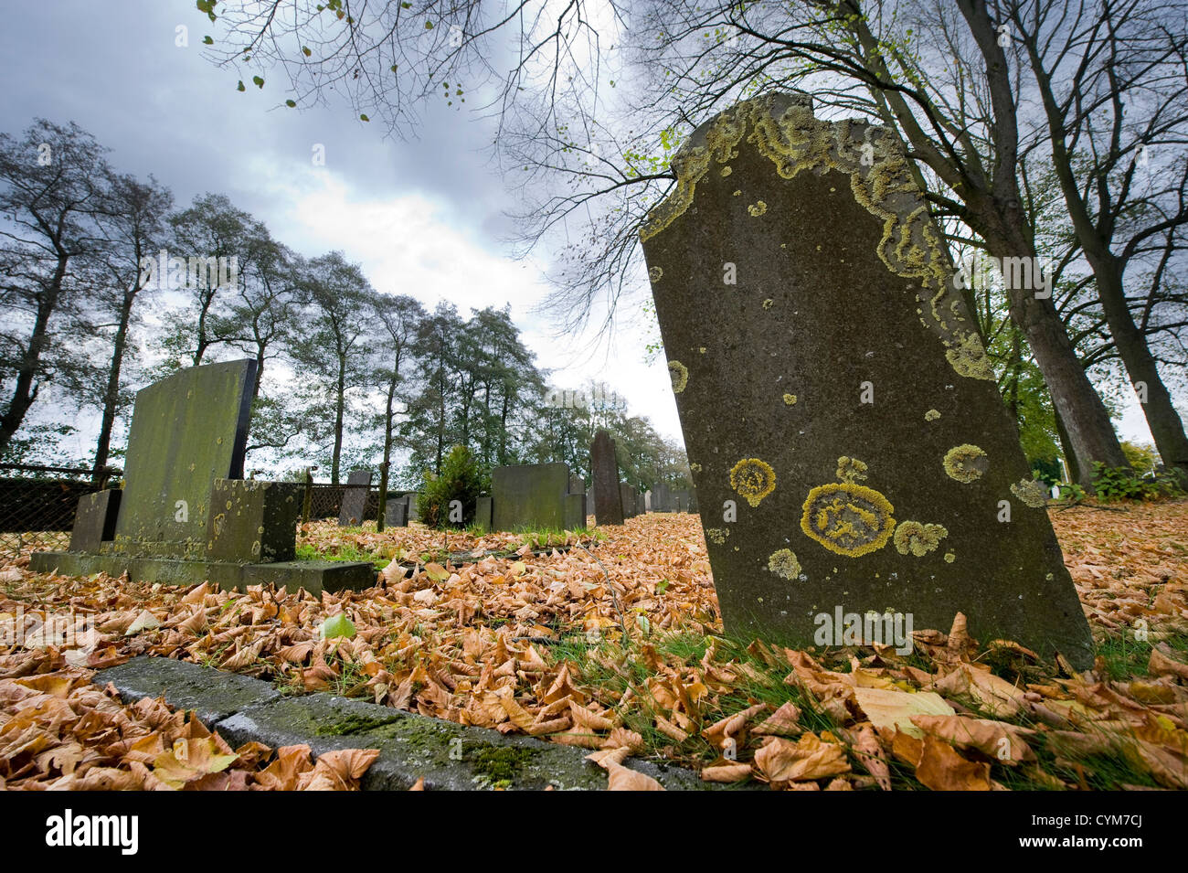 Tombstone on old graveyard hi-res stock photography and images - Alamy
