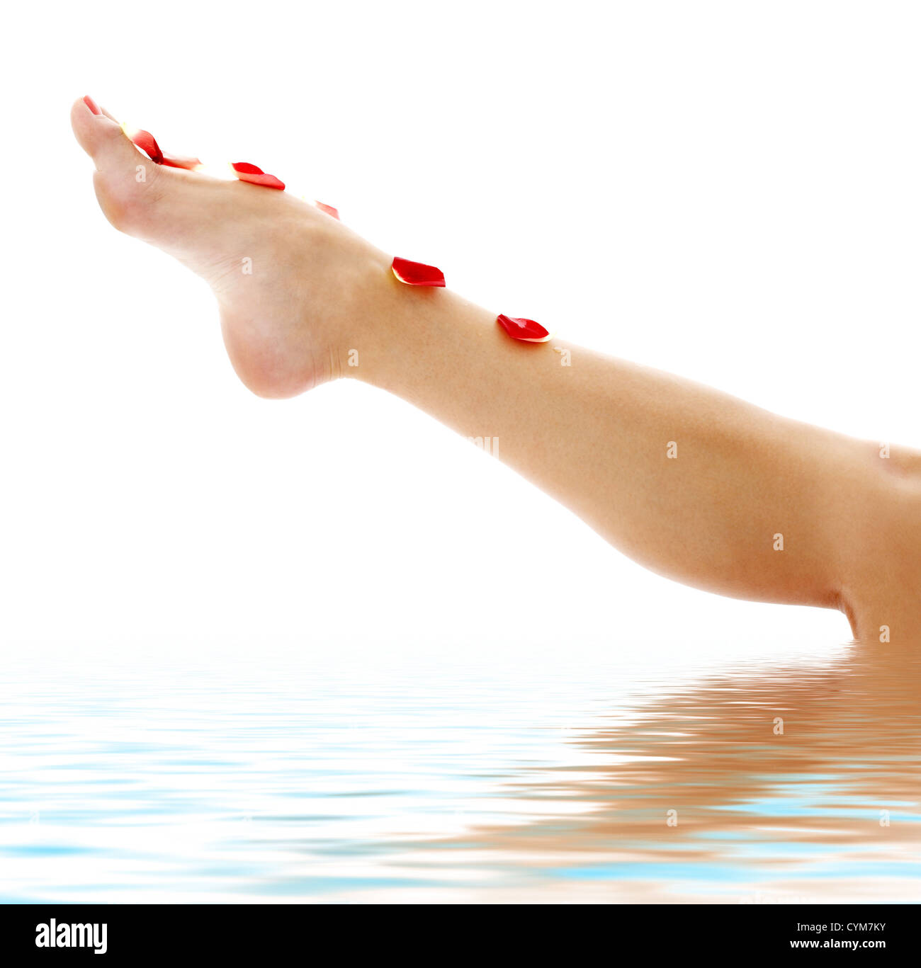 long leg covered with red rose petals in water Stock Photo - Alamy