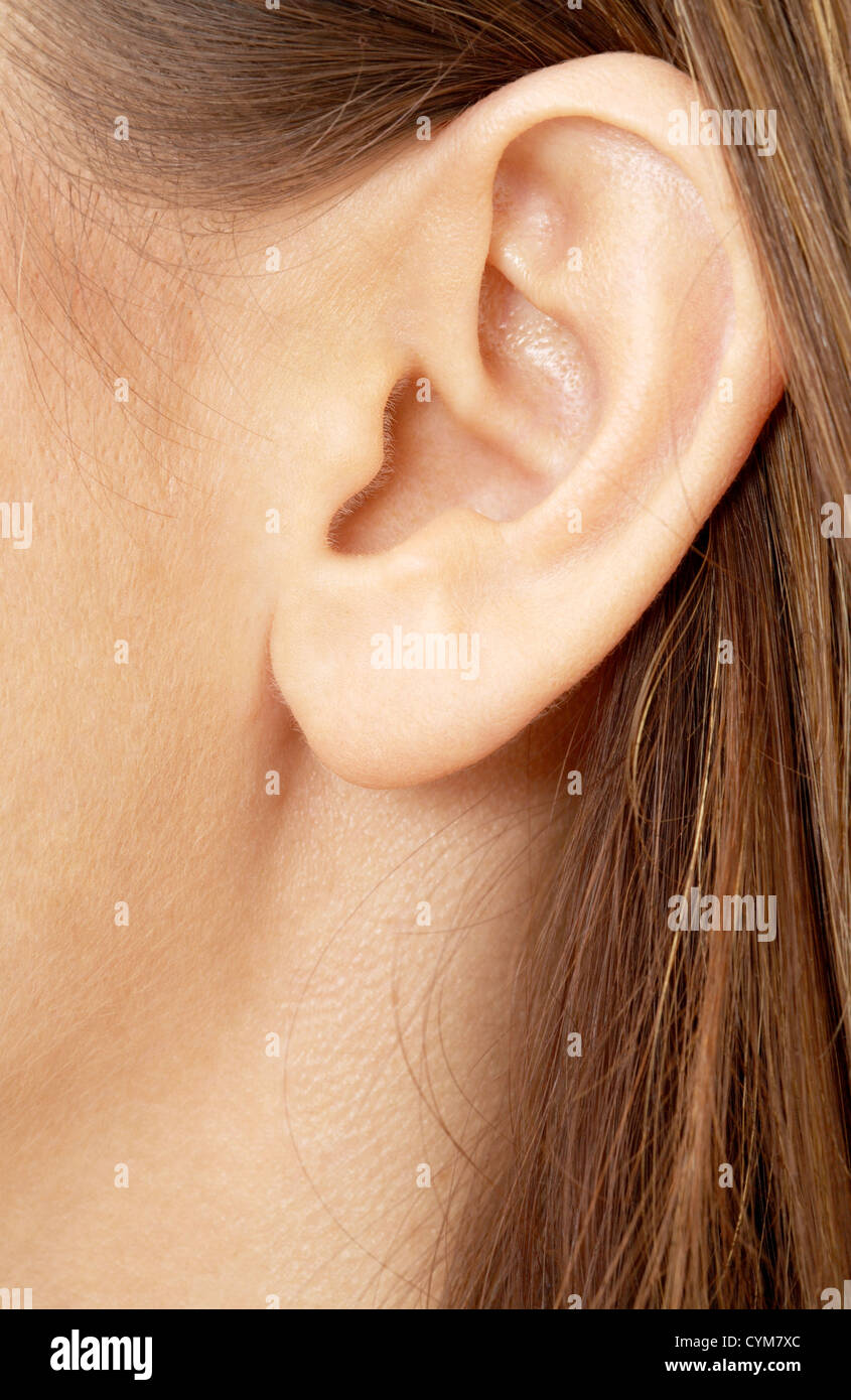 color closeup picture of brunette girl ear Stock Photo - Alamy