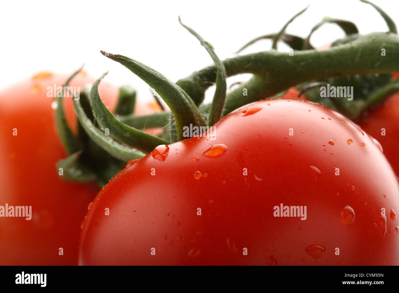 perfect red wet tomato with tomatoes on background, soft focus, super ...
