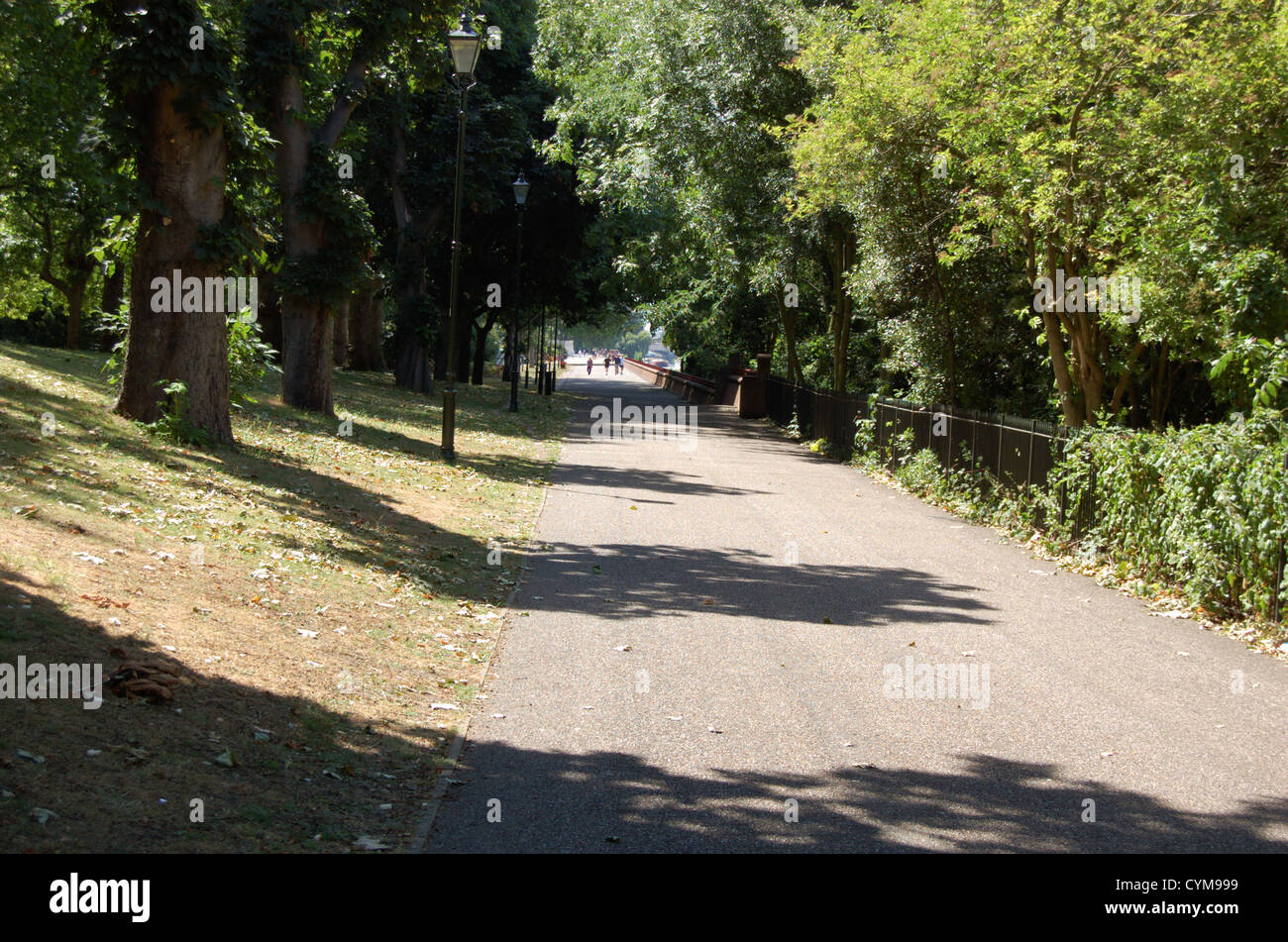 Tree lined path in Battersea Park in London, England Stock Photo - Alamy