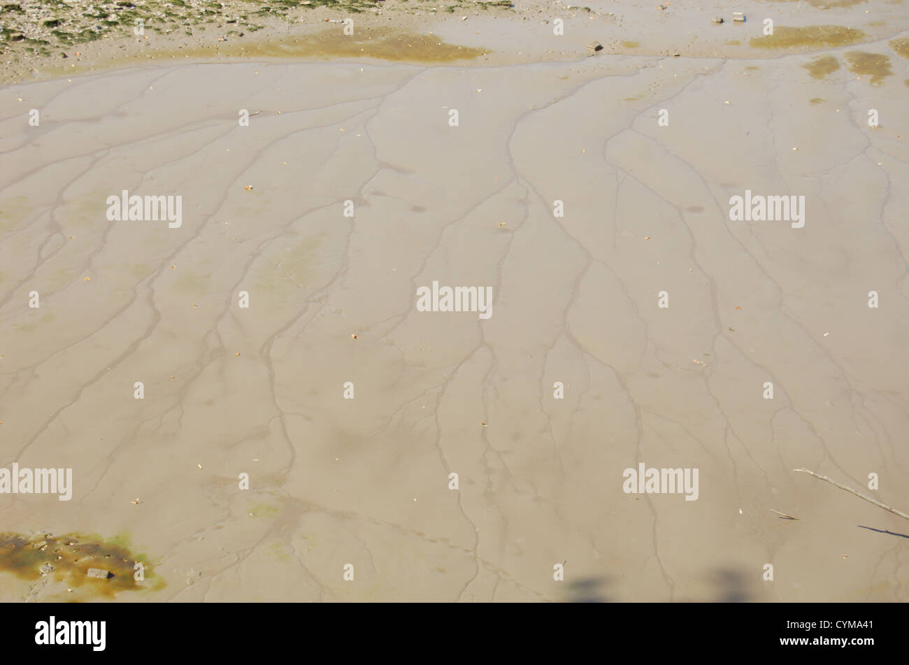 Water lines pattern on estuary mud beds Stock Photo - Alamy