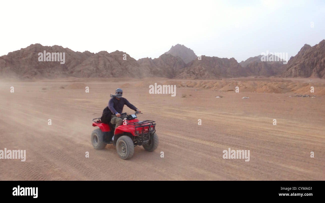 Egypt sharm el sheikh quad hi-res stock photography and images - Alamy