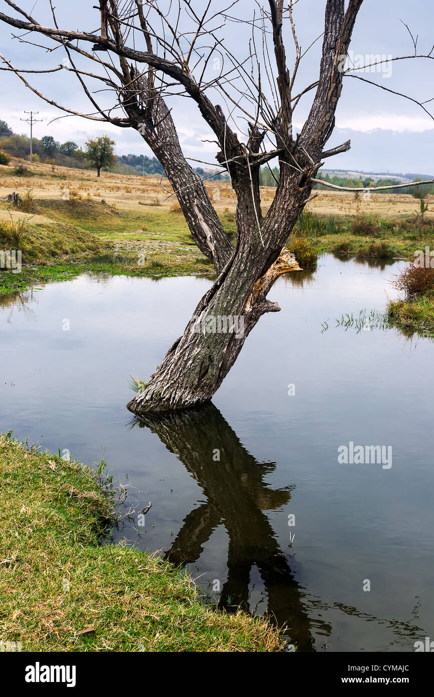 Dead brook hi-res stock photography and images - Alamy