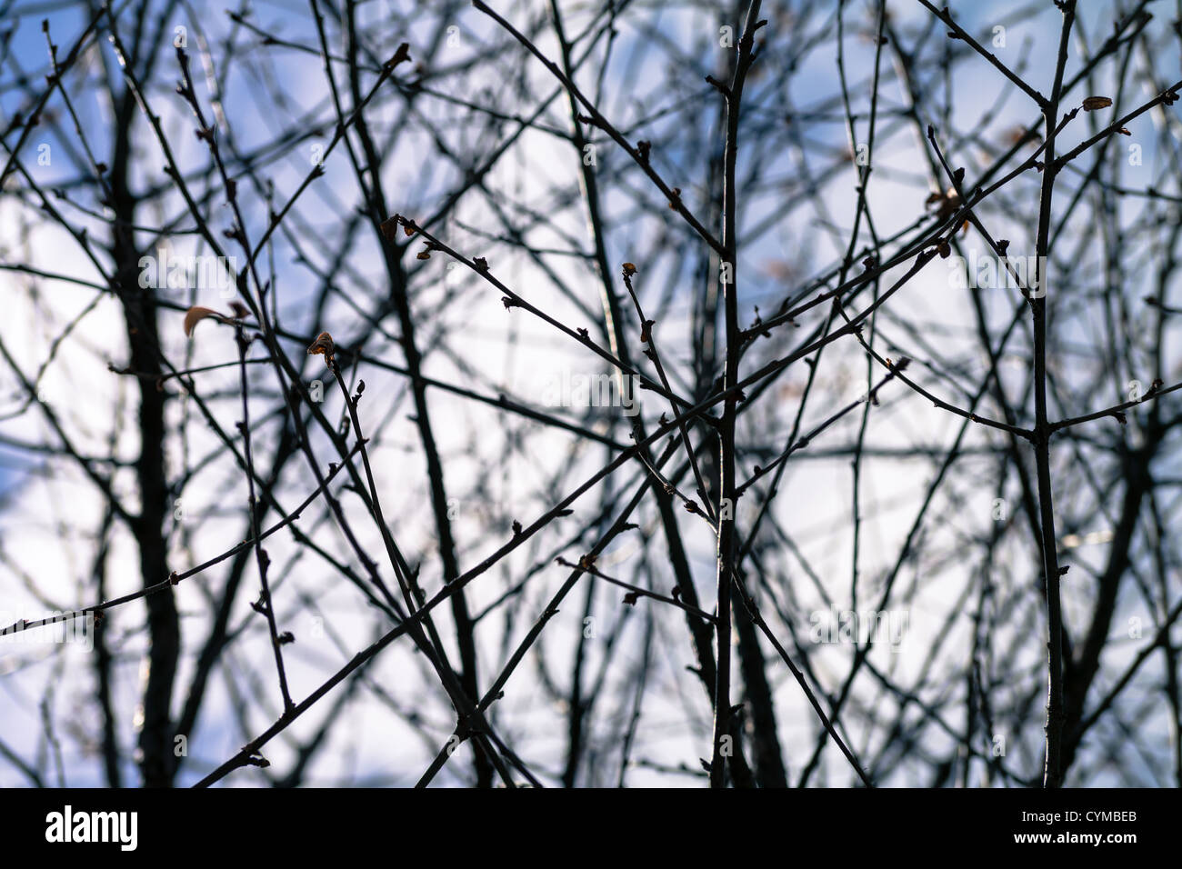 Field mess hi-res stock photography and images - Alamy