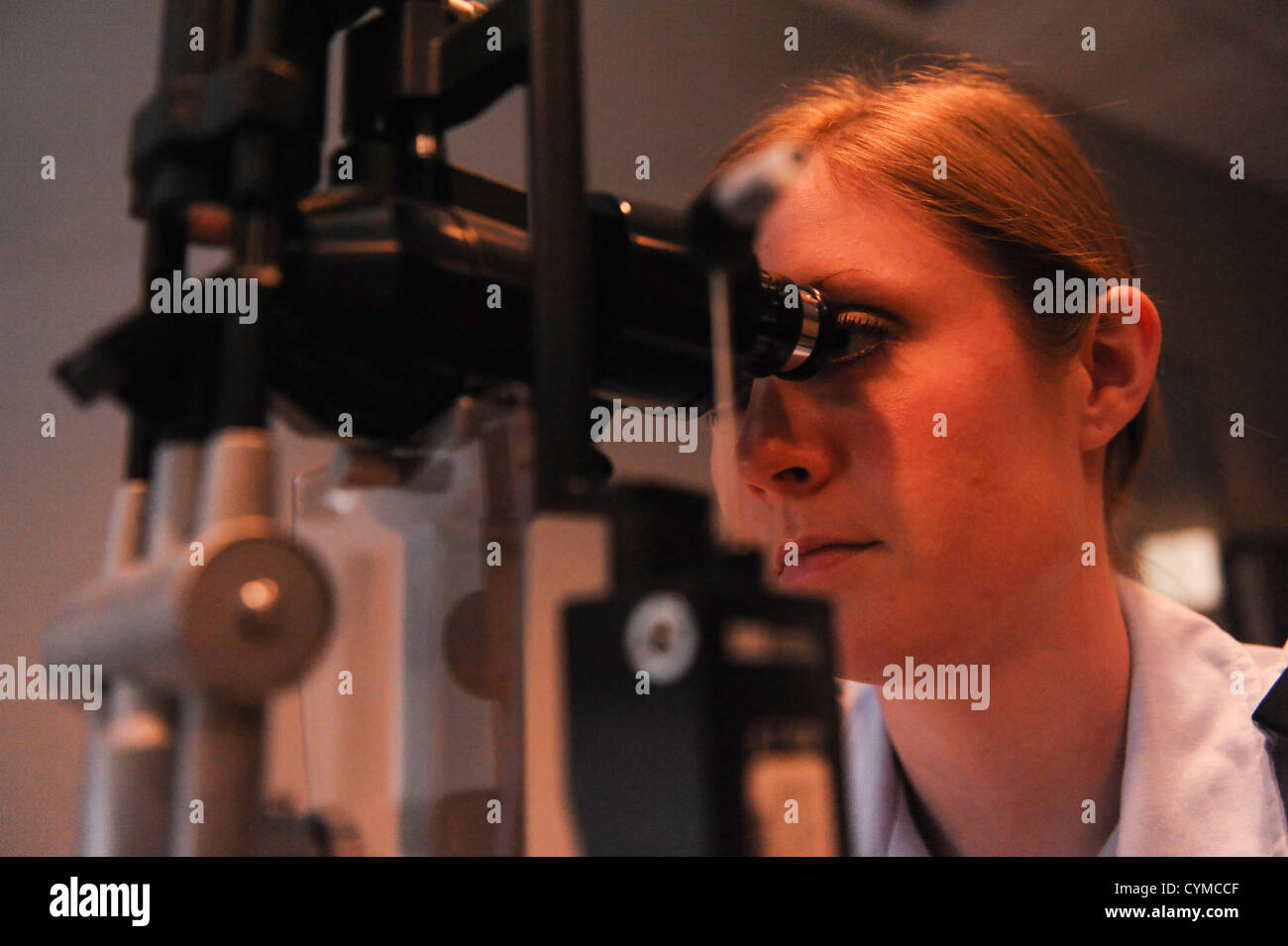 Capt. Summer Williamson, a 19th Aerospace Medicine Squadron optometrist ...