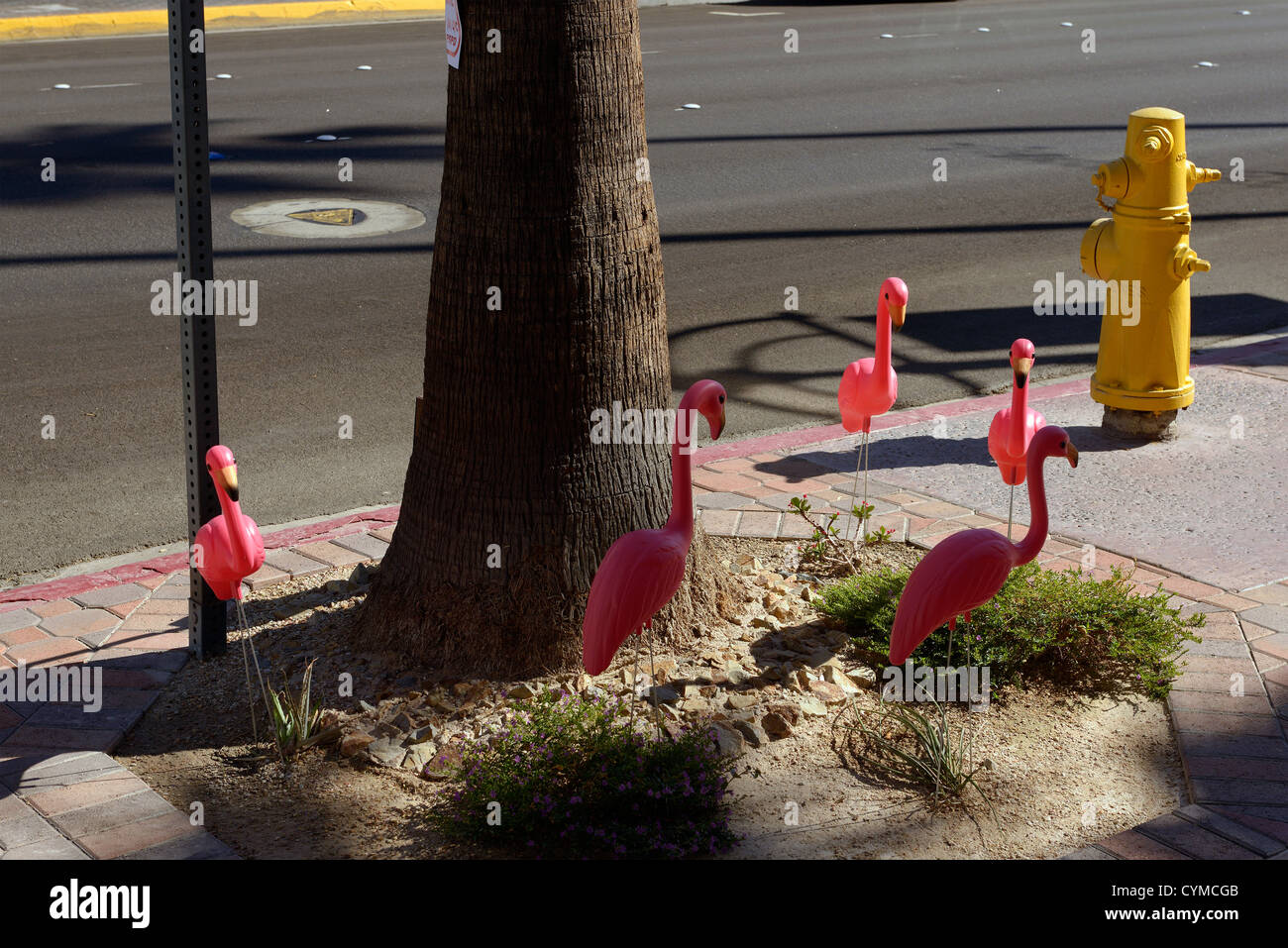 flamingo street palm springs Stock Photo - Alamy