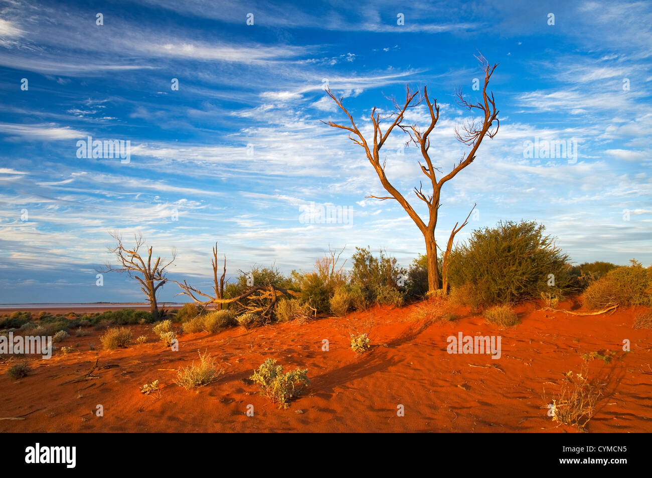 Red Dunes of Lake Ballard in Western Australia's desert Stock Photo - Alamy