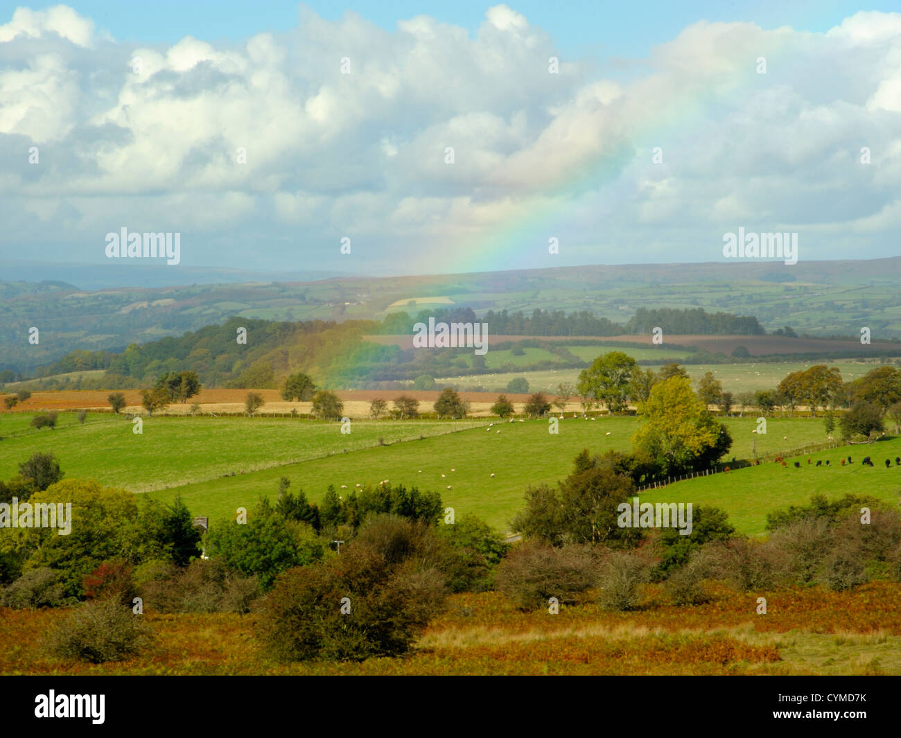 Faint pen hi-res stock photography and images - Alamy