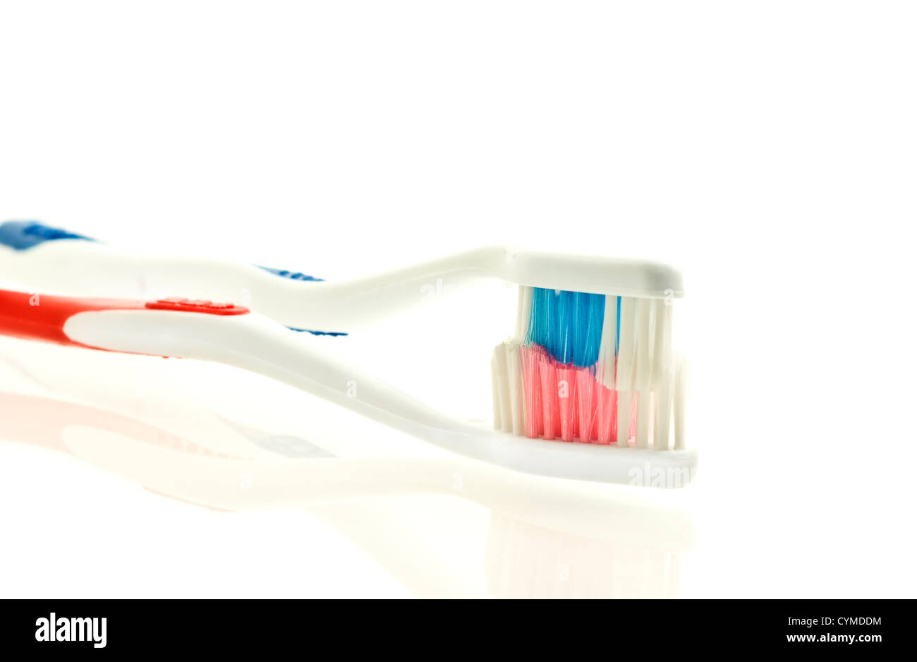 Couple brushing teeth on white hi-res stock photography and images - Alamy