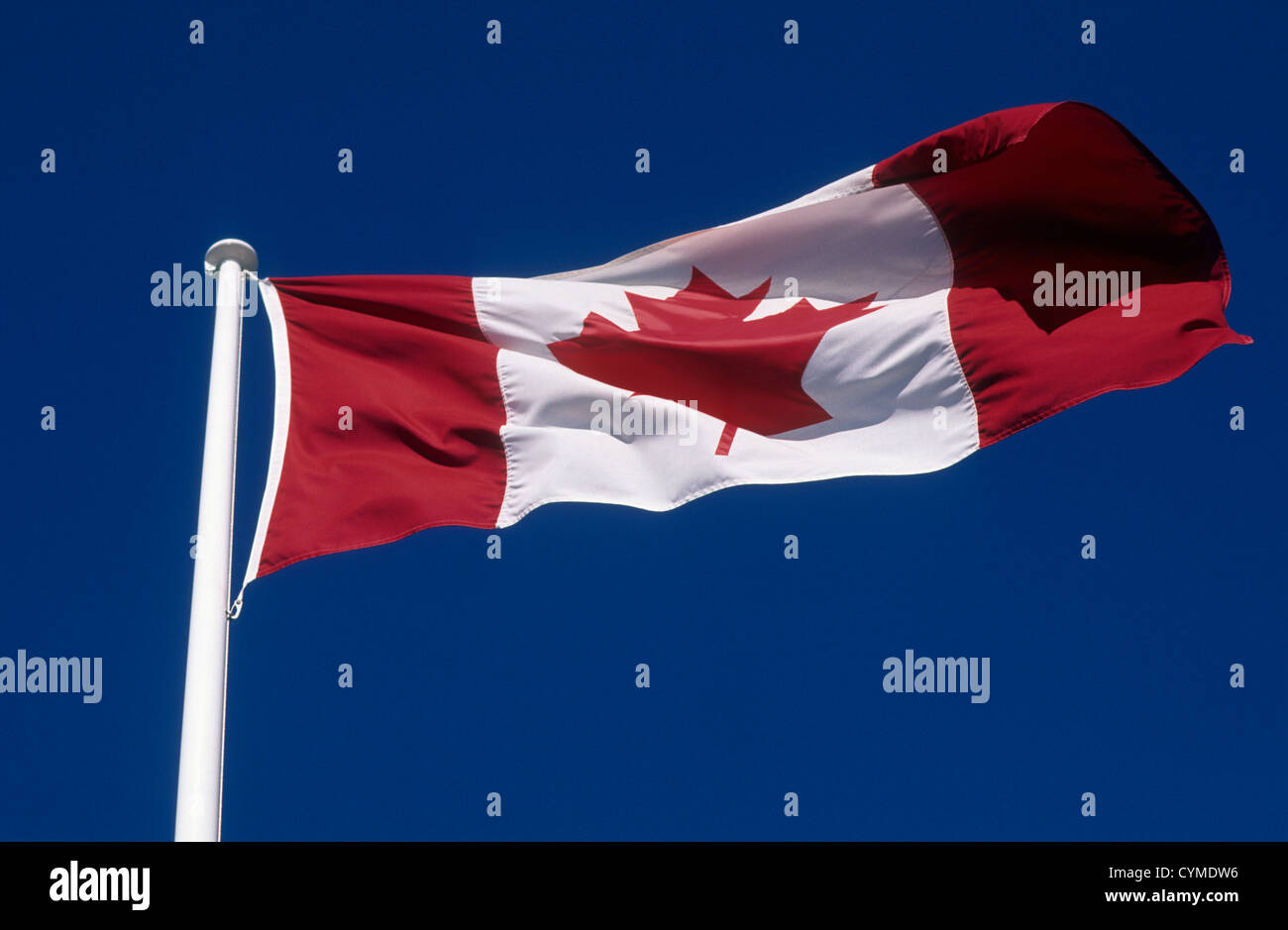 Canada, the national flag of Canada, the Maple leaf Stock Photo - Alamy